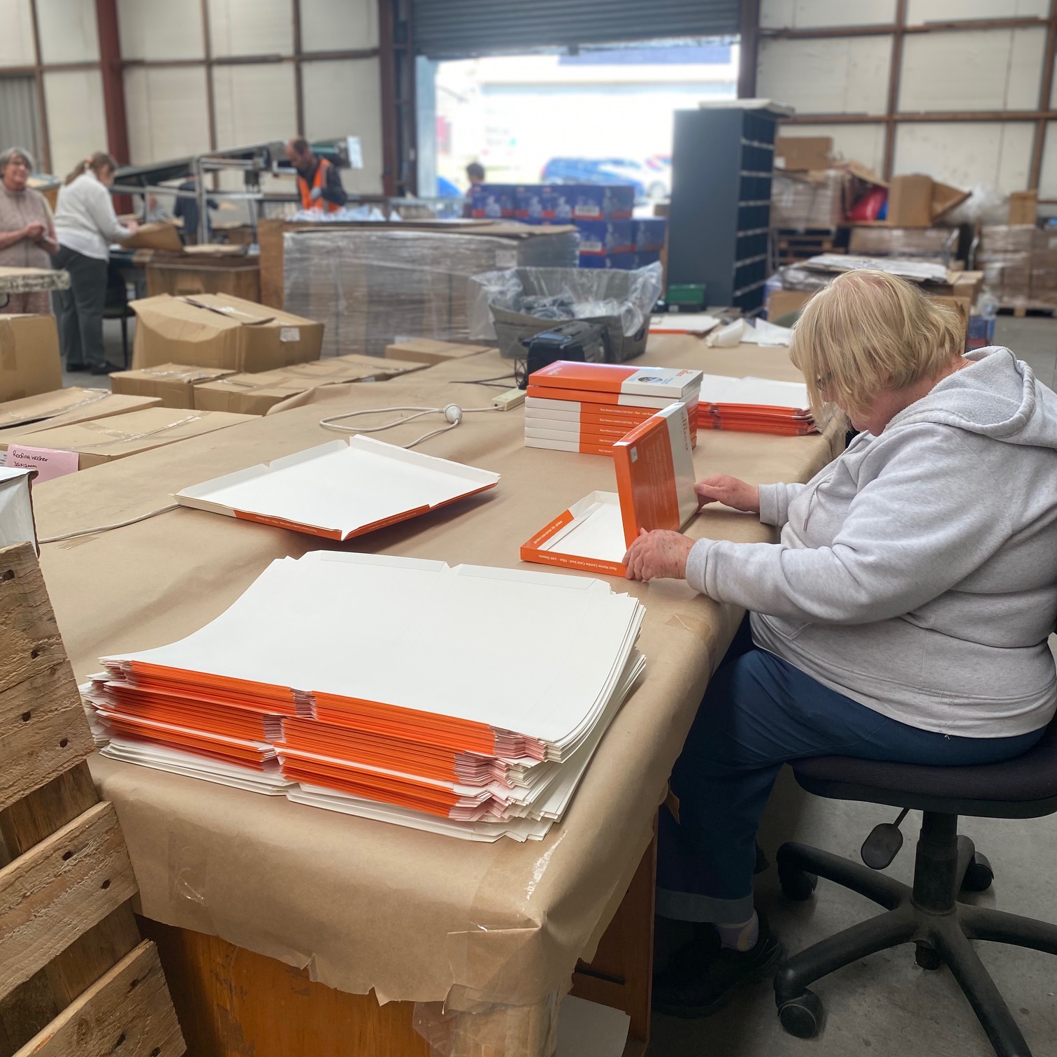 Packaging & Assembly - Abilities Group